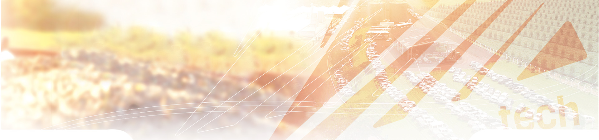 Quem somos – Araunah Tech